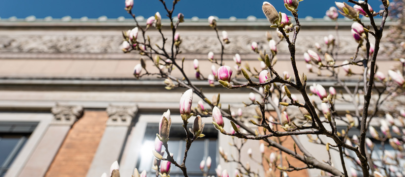 SMK reopens with new exhibitions | SMK – National Gallery of Denmark in ...